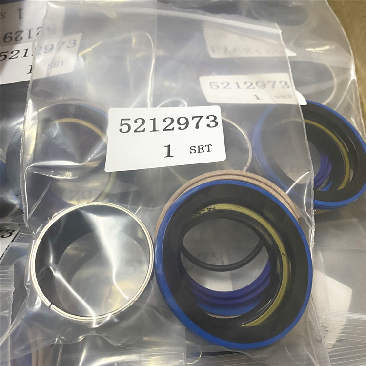 3779352 5212973 5016692 Hydraulic Cylinder Seal Kit Spare Parts